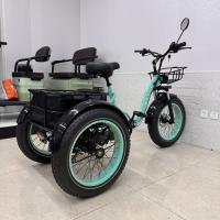 China Electric Tricycle with Disc Brake System 25km/h Speed 500W Motor for Family Transportation for sale