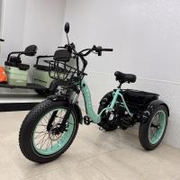 China Electric Tricycle with Disc Brake System 25km/h Speed 500W Motor for Family Transportation for sale