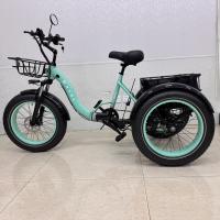China 500W Electric Tricycle for Adults with 48V 13AH Battery and 150kg Load Capacity - High Carbon Steel Frame for sale