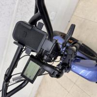 China High Carbon Steel Electric Tricycle with 500W Motor and 48V 13AH Battery for Off-Road and Commuting for sale