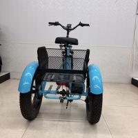 China 6061 Rim Blue Lightweight Electric Tricycle Dual Motor + Smart Dashboard for sale