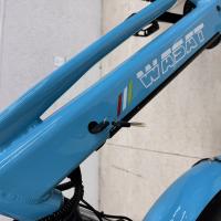 China Blue Tough Guy 48V 500W Dual Motor Electric Tricycle with 20x4.0 Tires and 12AH Dual Battery for sale