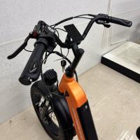 China Fat Tire Cargo Electric Tricycle with 48V 500W Motor and 150kg Load Capacity for Urban Commuting for sale