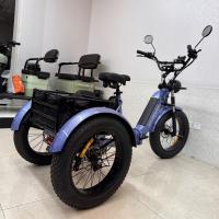 China Outdoor Electric Tricycle with 500W Motor and 48V 13AH Battery - 20×4.0 Wide Tires and Shock-Absorbing Front Fork for sale