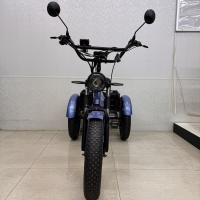 China Multifunctional Electric Tricycle with 500W Motor, 48V 13AH Battery and 7-Speed Shimano Shifting System for sale
