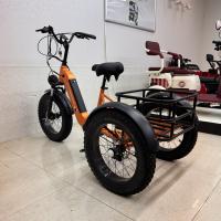 China Orange Off-Road Electric Tricycle with 48V 500W Dual Motor and 20×4.0 Tires for Outdoor & Urban Use for sale
