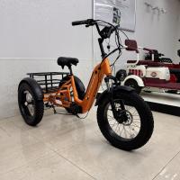 China Fat Tire Cargo Electric Tricycle with 48V 500W Motor and 150kg Load Capacity for Urban Commuting for sale