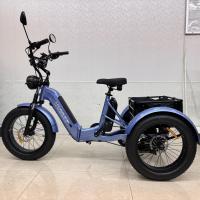China Multifunctional Electric Tricycle with 500W Motor, 48V 13AH Battery and 7-Speed Shimano Shifting System for sale