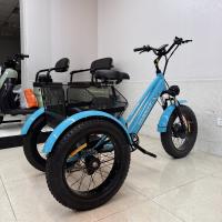 China Fresh Blue Dual-Motor Electric Tricycle with 48V 500W Motors and 20×4.0 Tires for Outdoor and Household Use for sale
