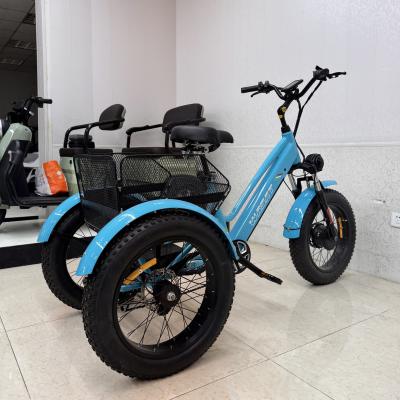 China Fresh Blue Dual-Motor Electric Tricycle with 48V 500W Motors and 20×4.0 Tires for Outdoor and Household Use for sale