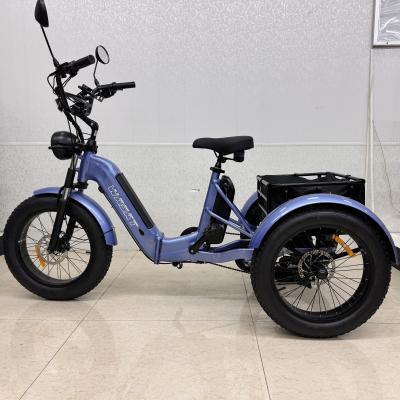 China High Carbon Steel Electric Tricycle with 500W Motor and 48V 13AH Battery for Off-Road and Commuting for sale
