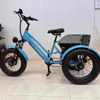 China Blue Tough Guy 48V 500W Dual Motor Electric Tricycle with 20x4.0 Tires and 12AH Dual Battery for sale