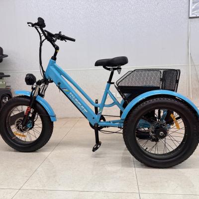 China Blue Tough Guy 48V 500W Dual Motor Electric Tricycle with 20x4.0 Tires and 12AH Dual Battery for sale