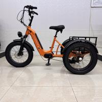 China 48V 500W Electric Cargo Tricycle with 24×3.0 Fat Tires and 13AH Battery for Commercial Transport for sale
