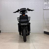 China Patented Leaning Electric Trike with 500W Dual Motor and 30-40 km Range - Steel Frame Design for sale