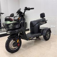 China Patented Leaning Electric Trike with 500W Dual Motor and 30-40 km Range - Steel Frame Design for sale