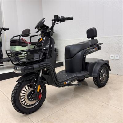 China Patented Leaning Electric Trike with 500W Dual Motor and 30-40 km Range - Steel Frame Design for sale