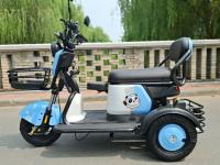 China 300-8 Vacuum Iron Wheel With Optional 500W Motor; 50-60km Long Mileage Range, Sufficient Power For Short-Distance Urban & Rural Trips for sale