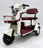 China Steel Body Electric Tricycle with 300-8 Tubeless Tire and Multi-Passenger Seats for Family Commuting for sale