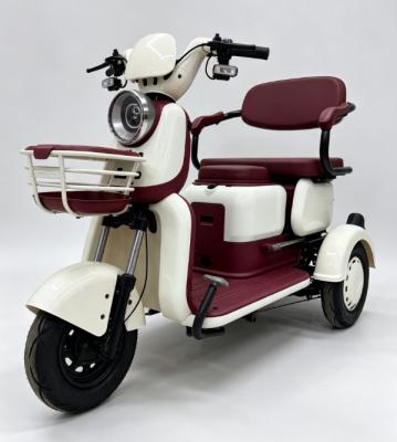 China Steel Body Electric Tricycle with 300-8 Tubeless Tire and Multi-Passenger Seats for Family Commuting for sale