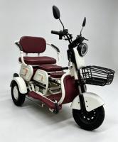 China Steel Body Family Pick-up Electric Tricycle with 300-8 Tubeless Tire and Multiple Power Options for sale