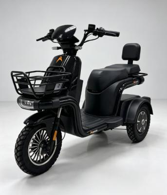 China Family Pick-up Electric Tricycle with 30-40KM Driving Range, 500W Dual Motor, and 300-10 Tubeless Tire for sale