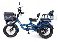 China Two-Seater Electric Tricycle with 100km Driving Range, 48V30AH Lithium Battery & Front and Rear 4-Oil Disc Brakes for sale