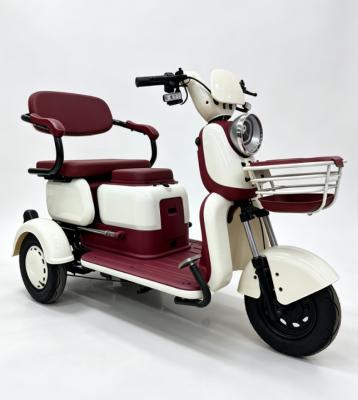 China Steel Body Leisure Electric Tricycle with 500W Motor and 30-40km Driving Range for Elderly Mobility for sale