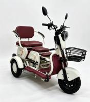 China Sturdy Steel Body Leisure Electric Tricycle with 300-8 Vacuum Tire and 30-40km Driving Range for sale