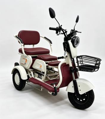 China Sturdy Steel Body Leisure Electric Tricycle with 300-8 Vacuum Tire and 30-40km Driving Range for sale