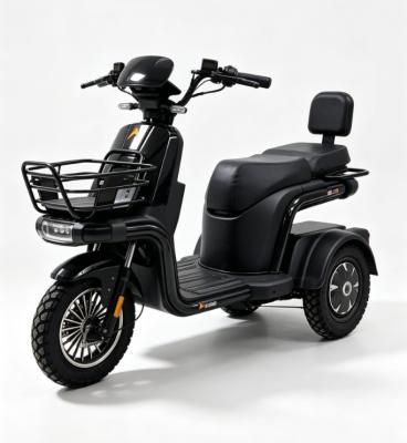China Comfort Leisure Electric Tricycle with 18cm Ground Clearance and Spacious Seats for 30-40km Range for sale