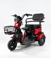 China Leisure Electric Tricycle with 500W Differential Motor and 350-6 Vacuum Tire for Family Travel with 48/20 Lead-acid Battery for sale