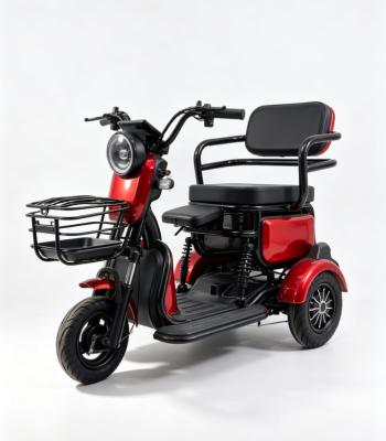 China Leisure Electric Tricycle with 500W Differential Motor and 350-6 Vacuum Tire for Family Travel with 48/20 Lead-acid Battery for sale