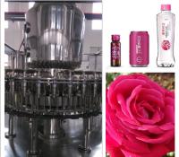 China PET Bottle Filling And Capping Machine for sale
