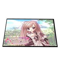 China The Cheapest Price High Quality 23.8 Inch Panel Monitor LCD Display M238DAN01.0 Screen for sale