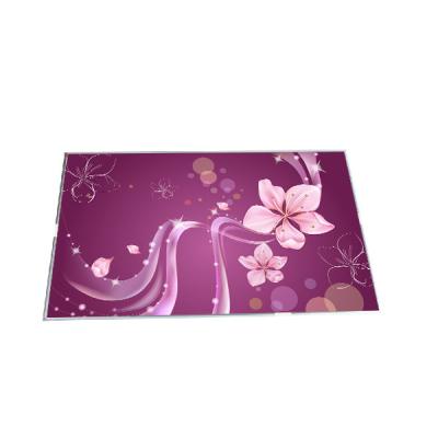 China AUO B154PW04 V0 LCD Laptop Screen 1440X900 110PPI RGB Vertical Stripe 40 Pins Terminal for sale