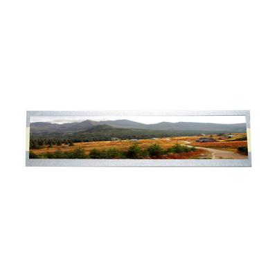 China IPS Ultra Wide TFT Stretched Bar LCD Screen Display G151EVN01.0 15.1 Inch RGB 1280X248 for sale