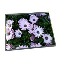 China 12.1 inch HSD121KXN1-A10 1024*768 high resolution lcd panel for Automotive Display for sale