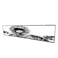 China 48 Inch Stretched Bar LCD Panel DV480FBM-N01 RGB 3840X720 81PPI for sale