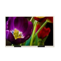 China 10.1 Inch EE101IA-01D LCD Display Screen 1280X800 HD Desktop Monitor for sale