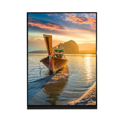 China 7.9 Inch 1536×2048 LCD Screen Display Panel LQ079L1SX01 For IPad Mini 2 3 for sale
