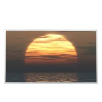 China N173HGE-E11 17.3 inch  LED LCD Screen Laptop Display Panel  EDP 30 Pin for sale