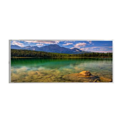 China AA192ED01 19.2 inch 1920×360 lcd screen panel for Stretched Bar LCD for sale