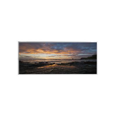 China AM-800256ATMQW-A0H 6.3 inch LCD Panel LCD screen touch screen for sale