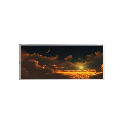 China Original 6.8 inch For BOE LCD Screen Display Module Panel touch AV069Y0Q-N10 for sale
