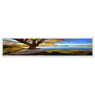 China DV165FBM-N10 16.5 inch 1280(RGB)×631 LCD screen display for BOE for sale