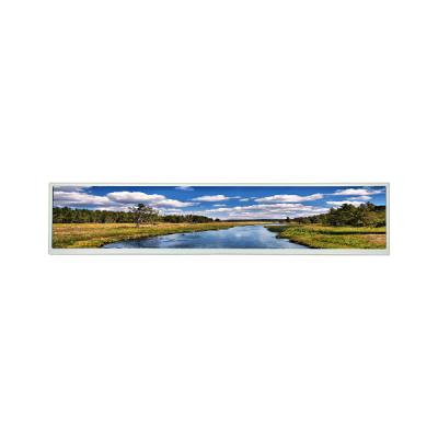 China DV231FBQ-NV0 23.1 inch lcd display screen panel for Stretched Bar LCD for sale