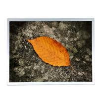 China G121STN02.0 industrial pc monitor screen AUO TN 12.1 inch lcd monitor panel 800*600 resolution for sale