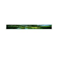 China G229HAF02.0 22.9 inch 1920×165 Stretched Bar LCD Panel for AUO for sale