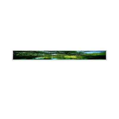 China G229HAF02.0 22.9 inch 1920×165 Stretched Bar LCD Panel for AUO for sale